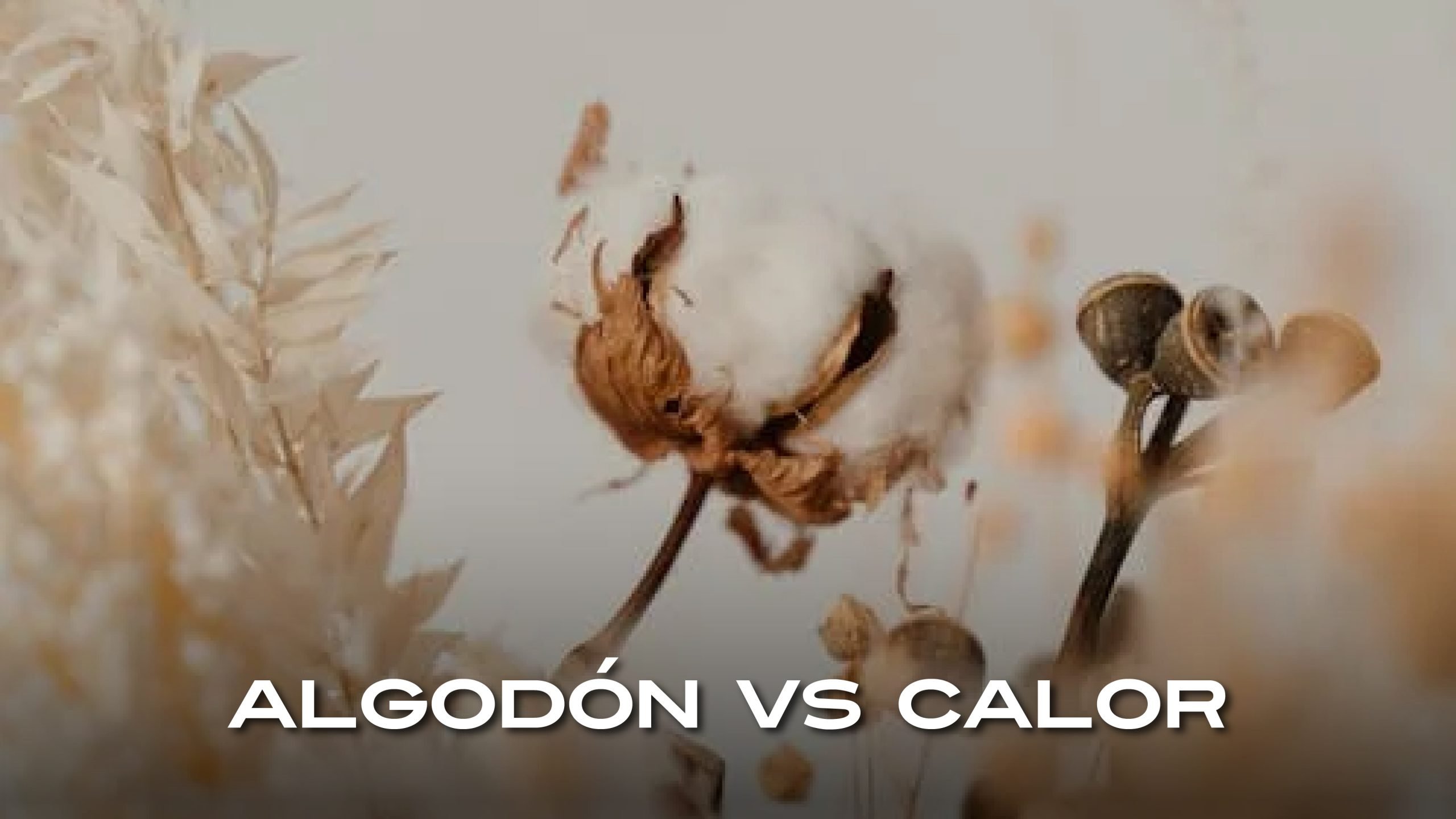 ALGODÓN VS CALOR - Twins tienda pijamas pantuflas ropa interior