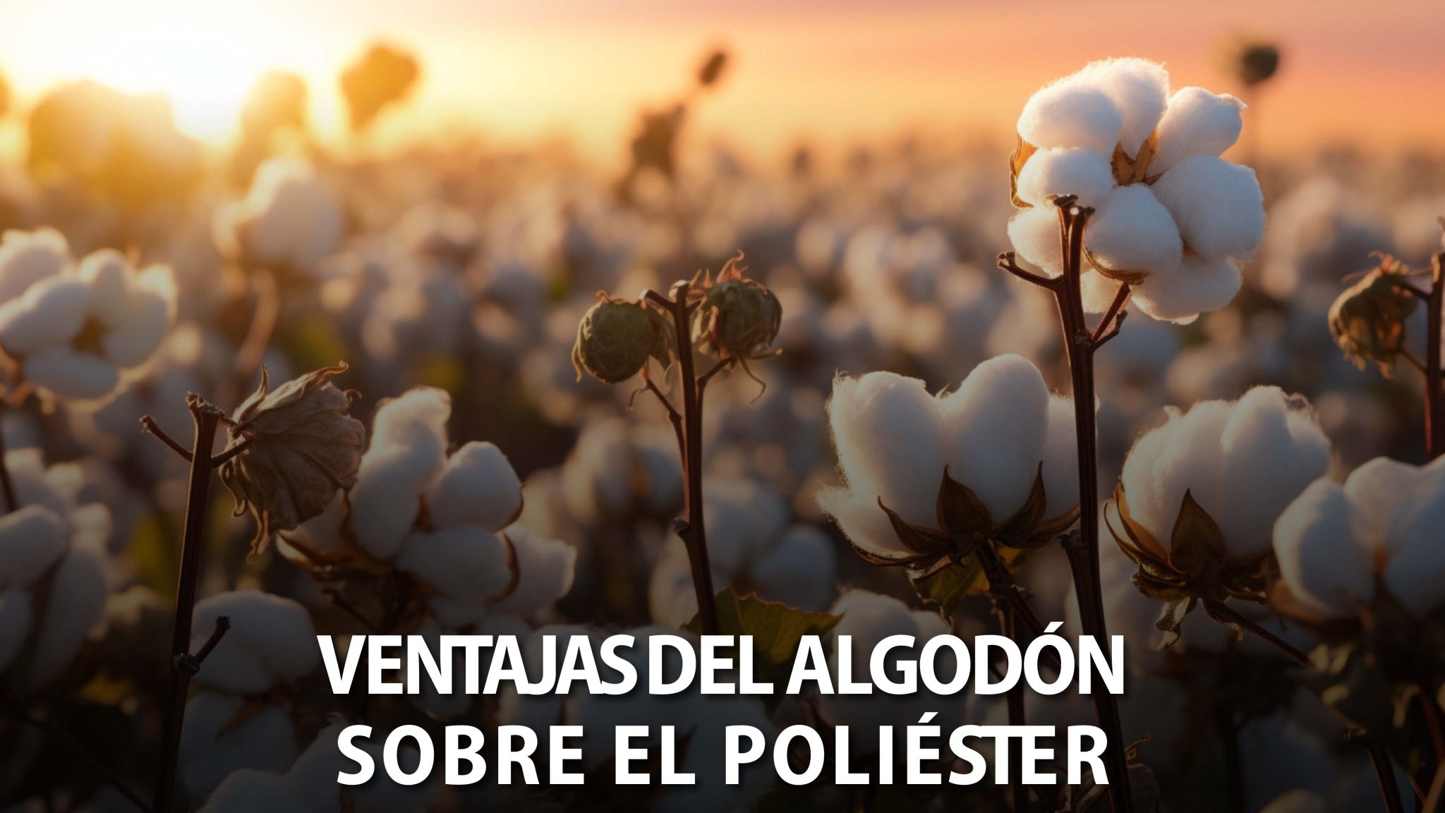 VENTAJAS DEL ALGODÓN SOBRE EL POLIÉSTER - Twins tienda pijamas ...